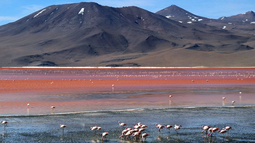 The mountains and lakes of Sud Lipez – silver-travellers.com