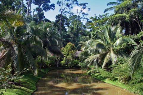 Visiting the orangutans of Sepilok – silver-travellers.com