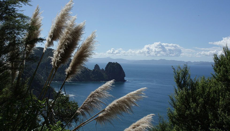 The Coromandel – silver-travellers.com