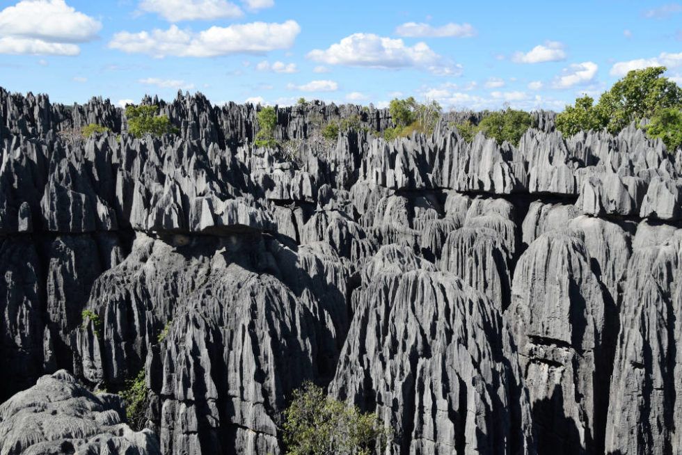 Tsingy de Bemaraha: adventurous walking tours – silver-travellers.com