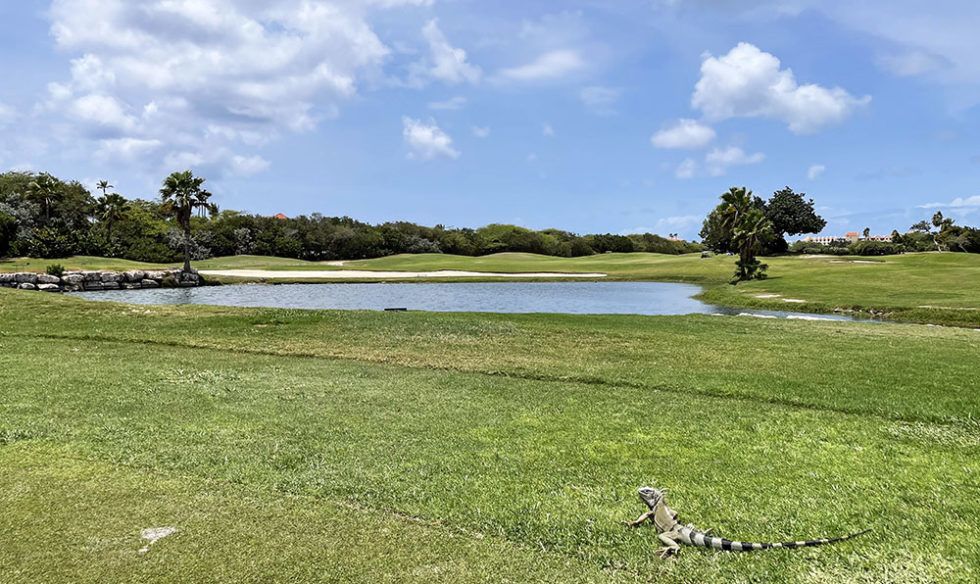 The Caribbean golf destination Aruba – silver-travellers.com