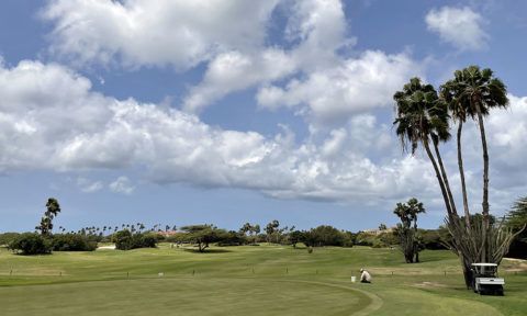 The Caribbean golf destination Aruba – silver-travellers.com