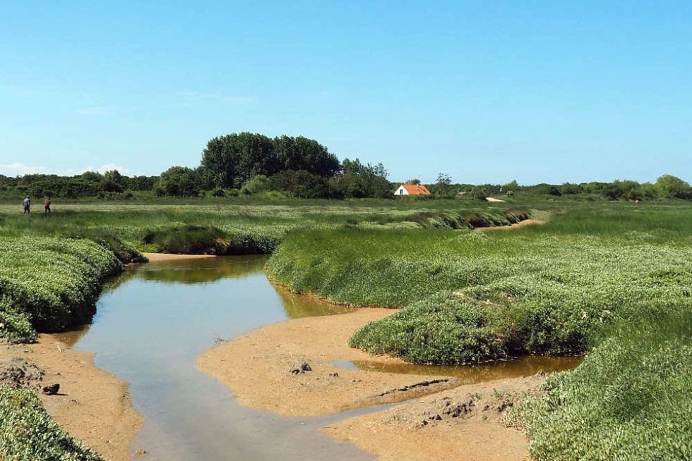 Things to do and see around the Bay of the Somme – silver-travellers.com