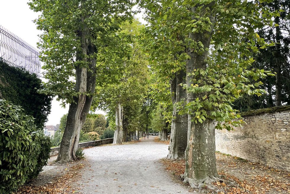 Beaune, the undisputed wine capital of Burgundy – silver-travellers.com
