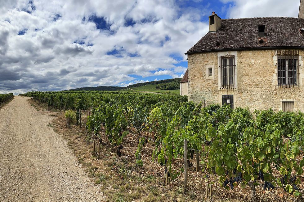 Burgundy wine route through the Côte d'Or – silver-travellers.com