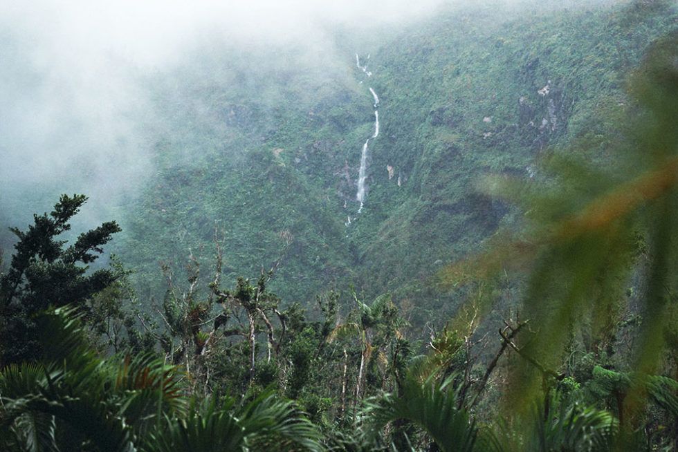 Dominica, the nature island of the Caribbean – silver-travellers.com