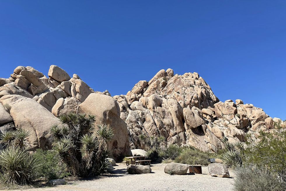Hiking fun in Joshua Tree National Park – silver-travellers.com
