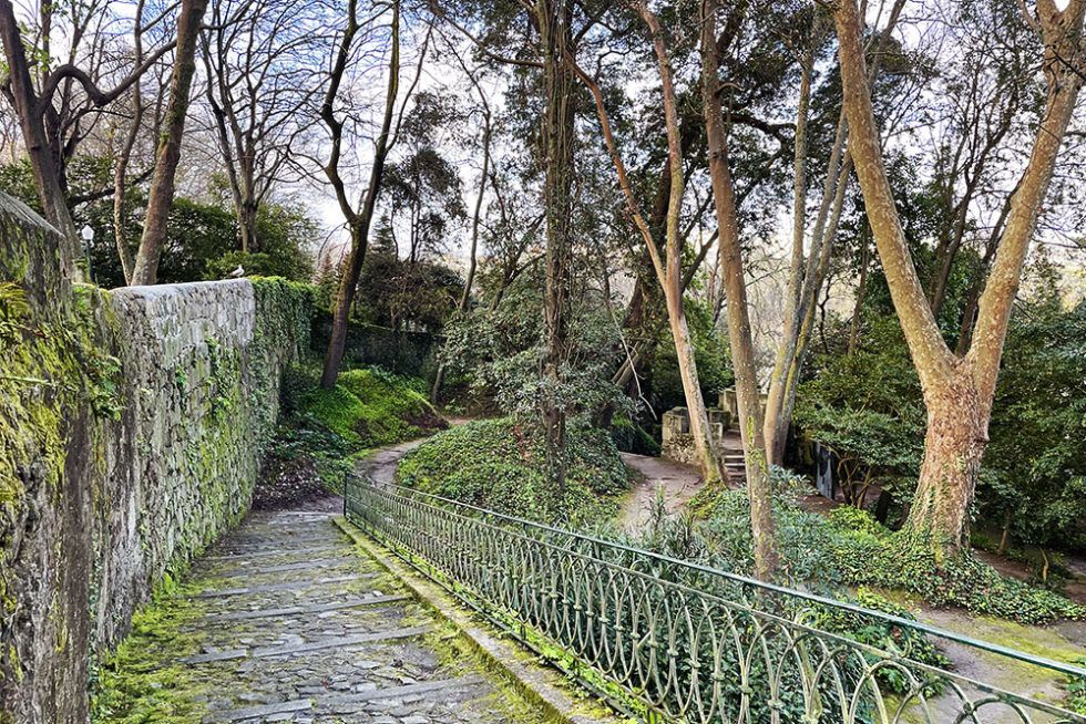 Cycling through Porto, city of six bridges – silver-travellers.com
