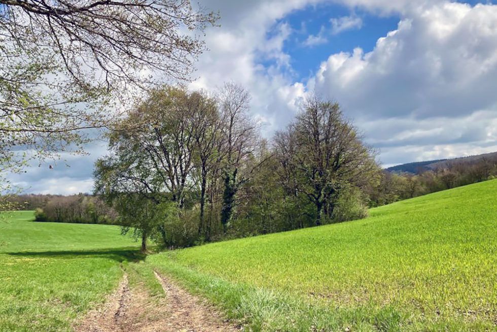 Highlights of the Morvan nature reserve – silver-travellers.com