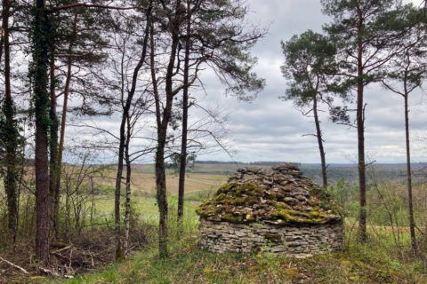 Highlights of the champagne region, Côte des Bar – silver-travellers.com