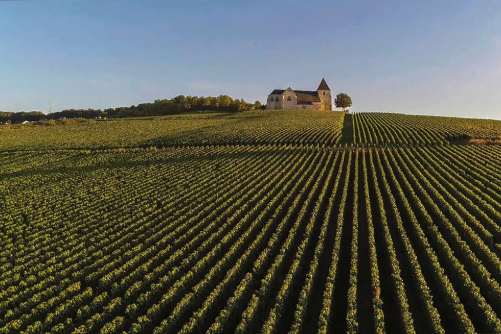 Highlights of the champagne region, Côte des Bar – silver-travellers.com