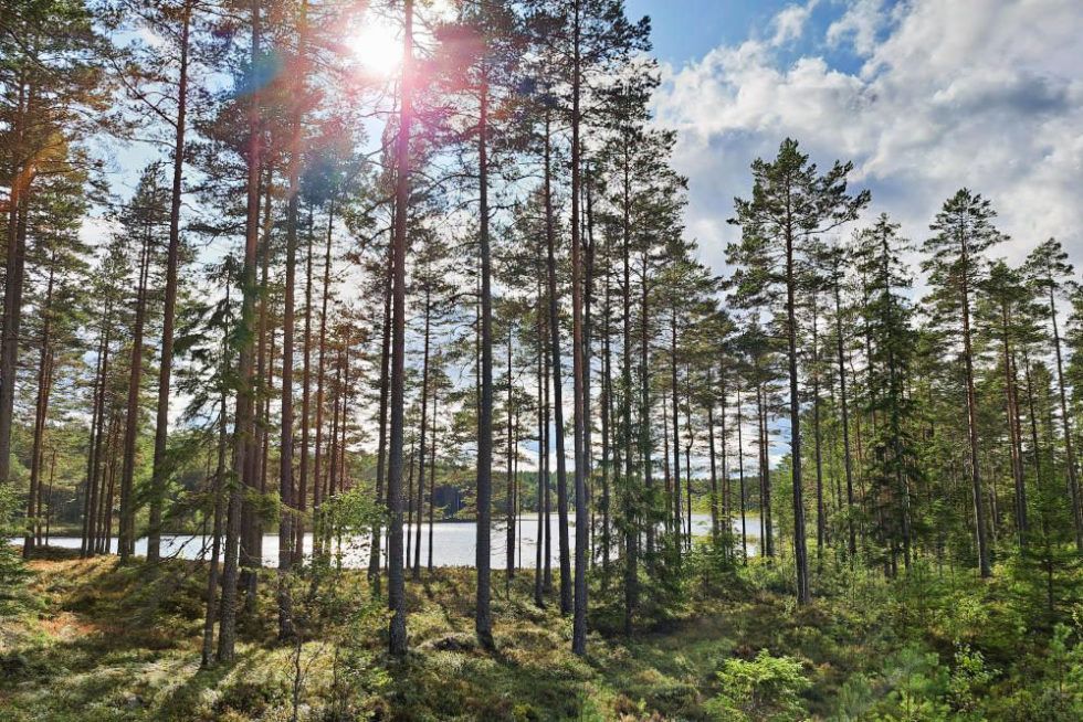 Dalarna's most beautiful cultural and natural treasures – silver ...