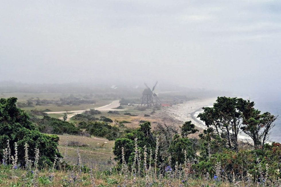 That's why you'll definitely want to visit the island of Öland – silver ...