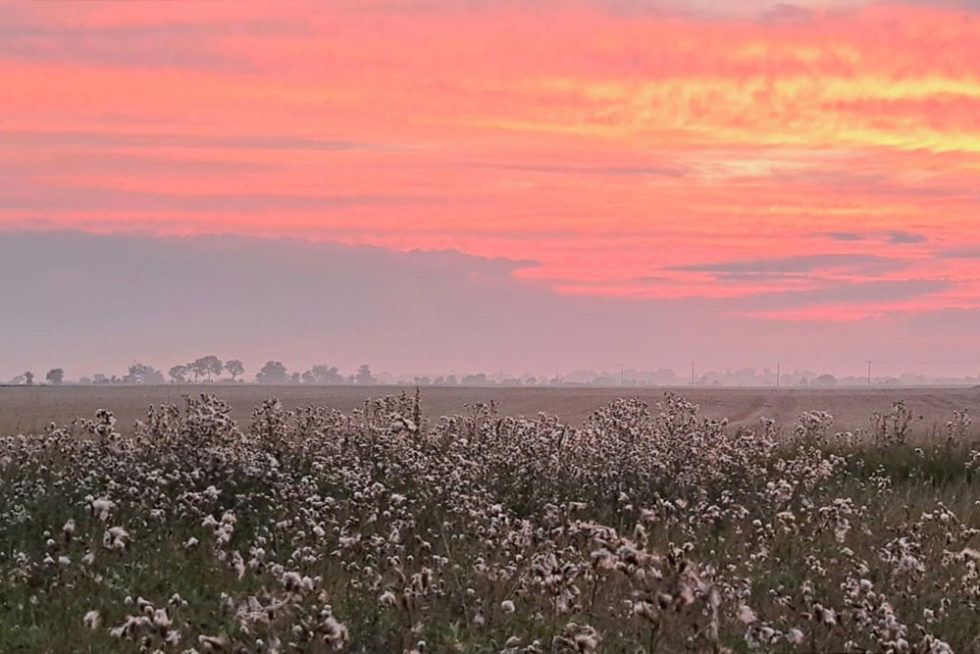 That's why you'll definitely want to visit the island of Öland – silver ...