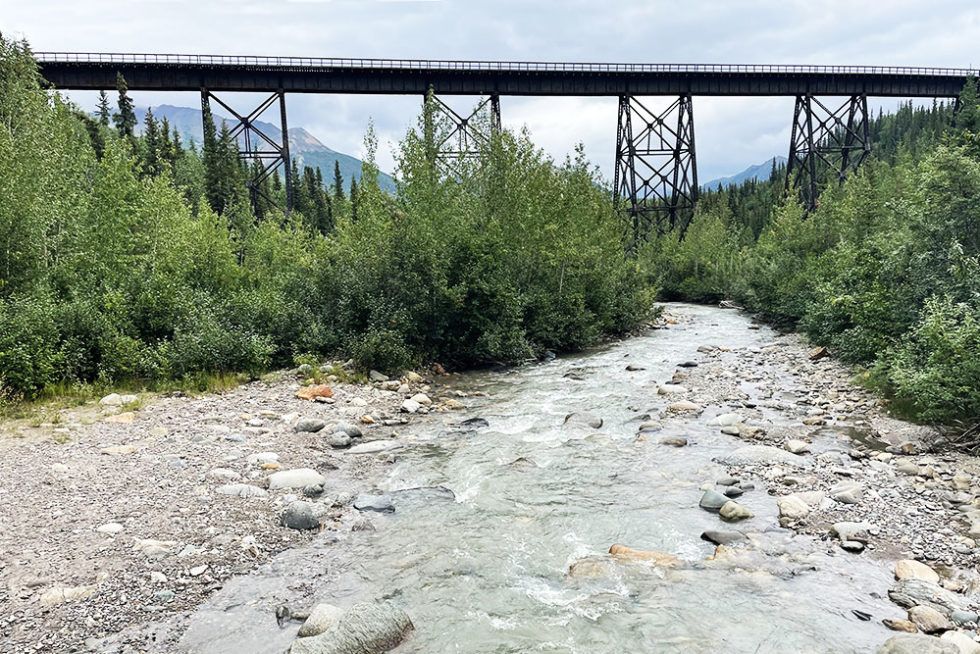 Denali National Park: Top Attraction of Alaska – silver-travellers.com