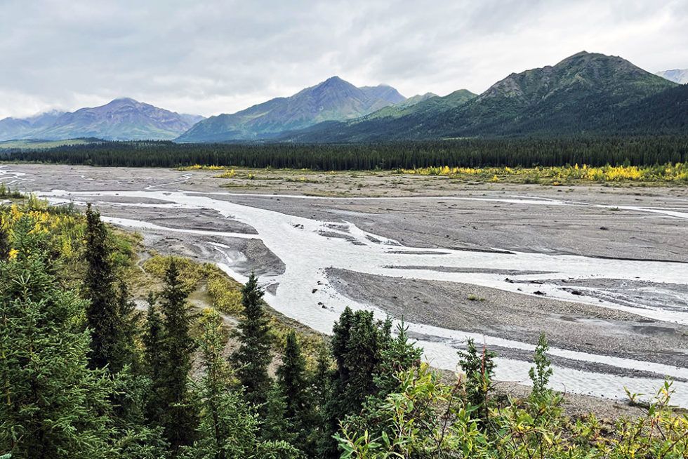 Tour of Alaska through the endless nature of the Last Frontier – silver ...