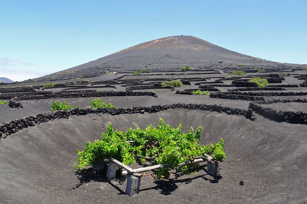 Magical moonscape and fiery volcanoes on Lanzarote – silver-travellers.com