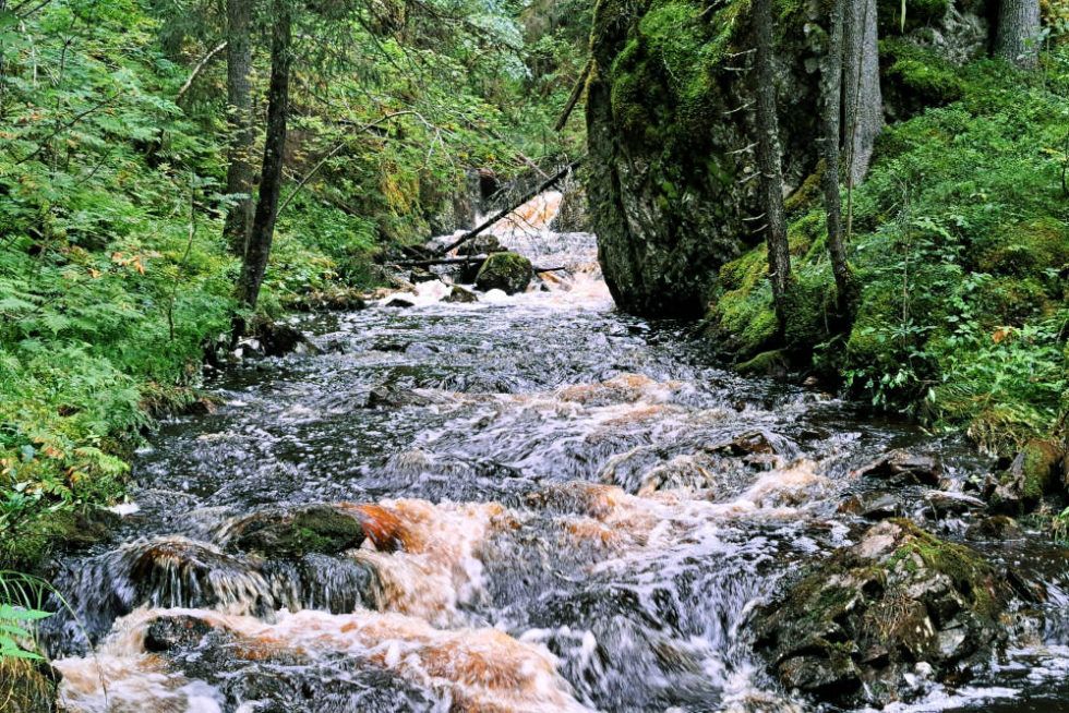 Unlimited outdoor opportunities in Dalarna, Sweden – silver-travellers.com