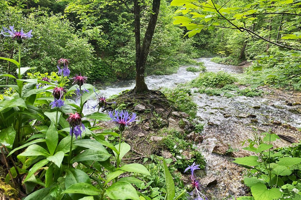 Active travel destination Pyhrn-Priel in Upper Austria – silver ...