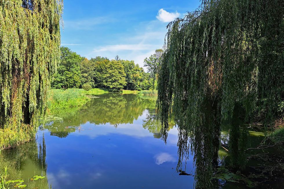 Pszczyna Castle: A palace of international allure – silver-travellers.com