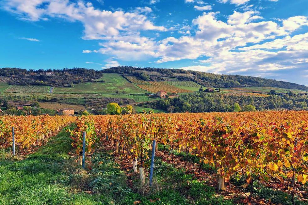 Oingt, the most beautiful village of Pierre Dorées – silver-travellers.com